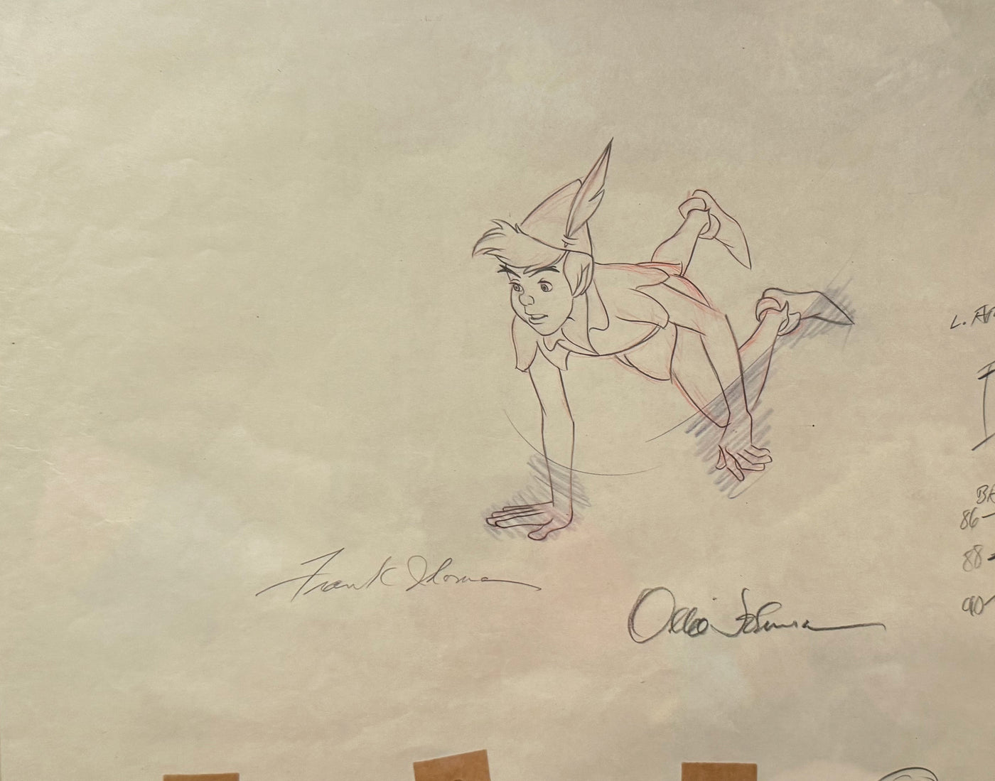 Original Walt Disney Production Drawing featuring Peter Pan Signed by ...